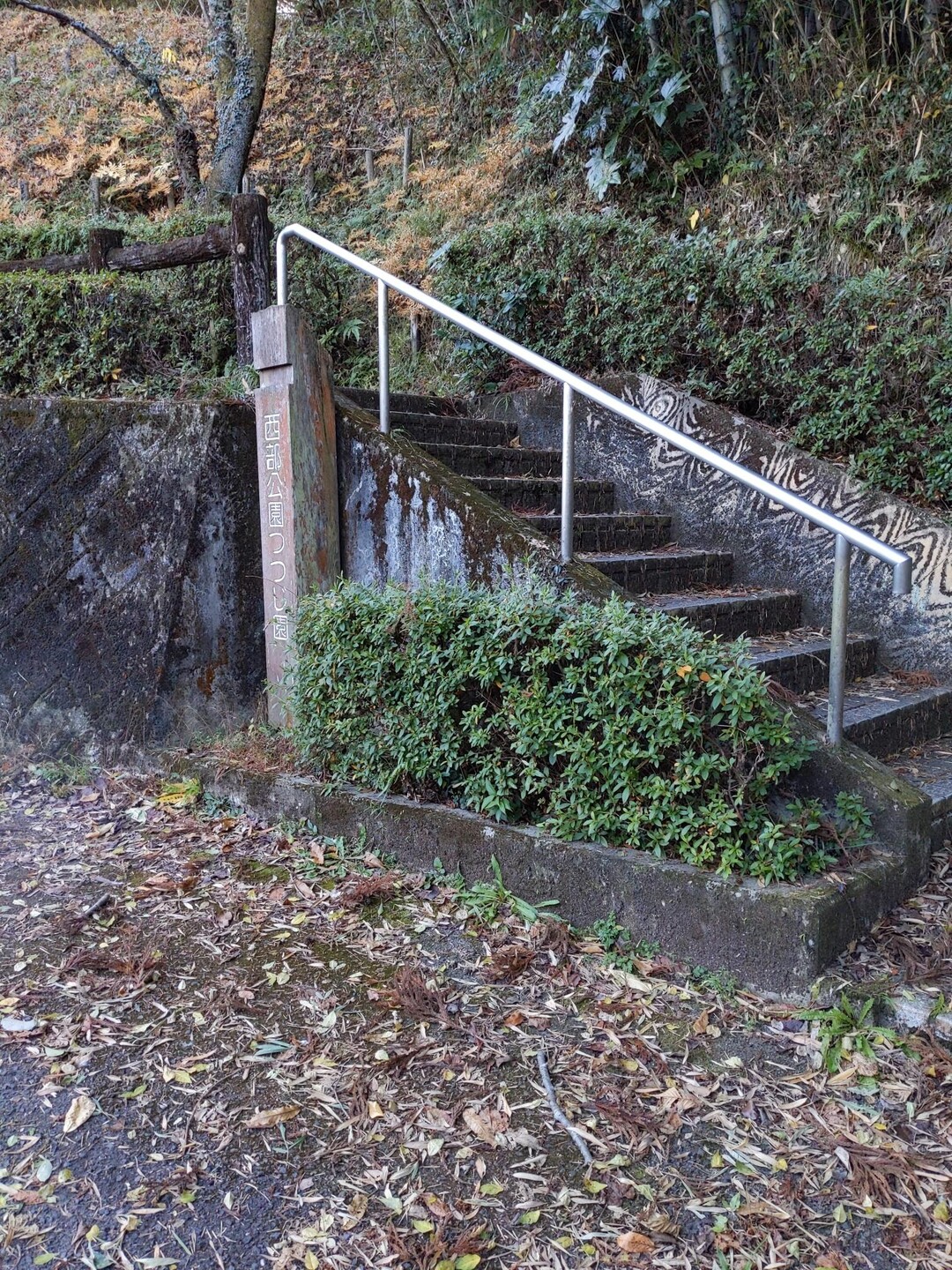 Taさんの投稿したフィールドメモ | YAMAP / ヤマップ