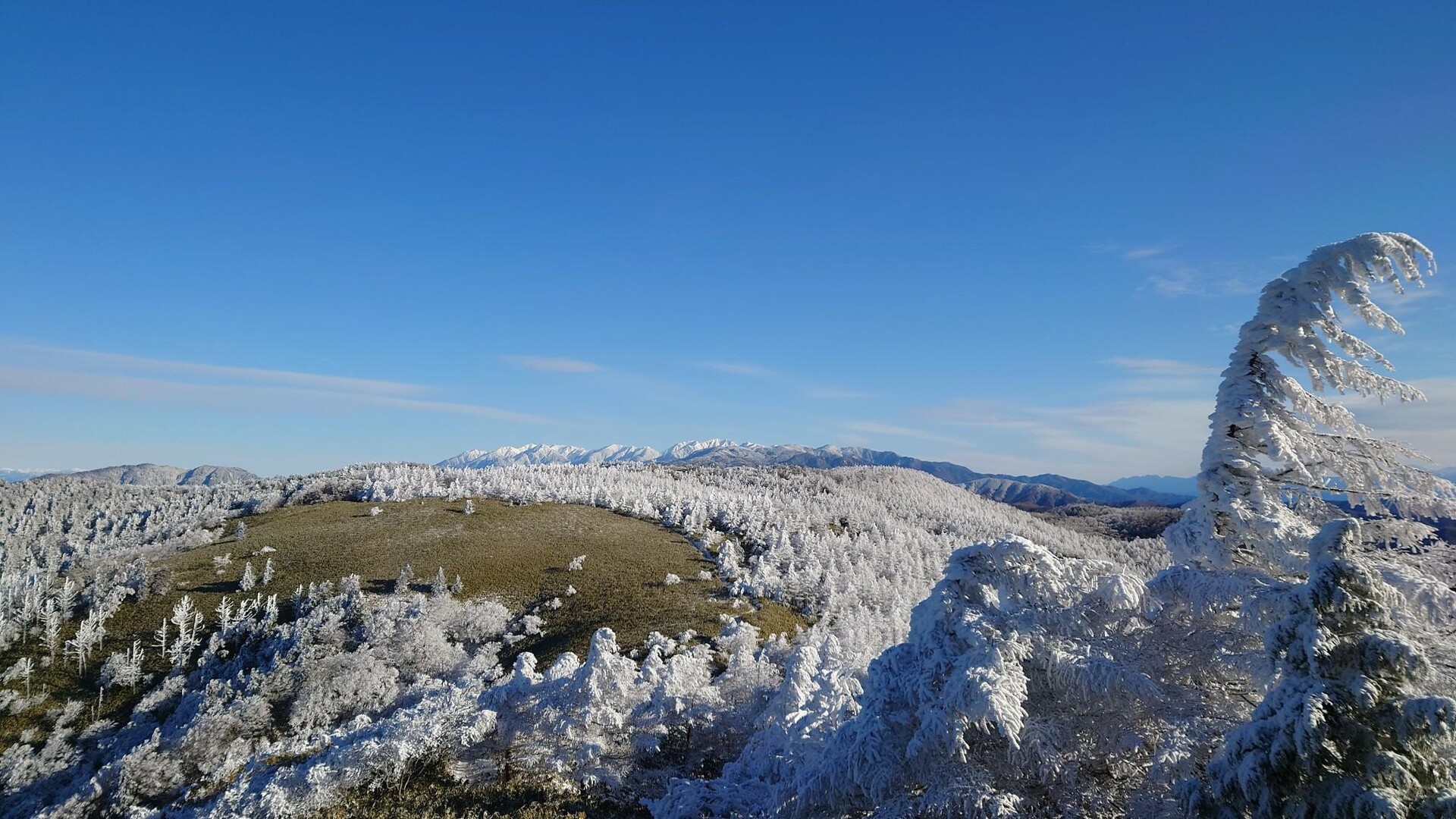 クリスマス登山🎄 南沢山・横川山 / yuuさんの恵那山・大判山・神坂山の活動データ | YAMAP / ヤマップ