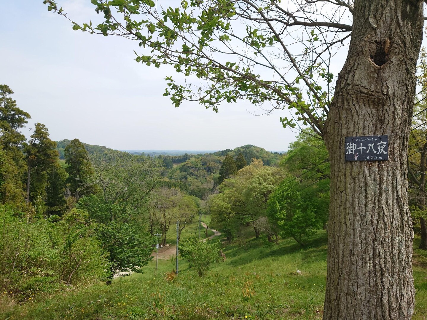 月一千葉行き月待ち場〜市原米沢/内田の森 / ANCさんの 米沢の森の活動日記 | YAMAP / ヤマップ