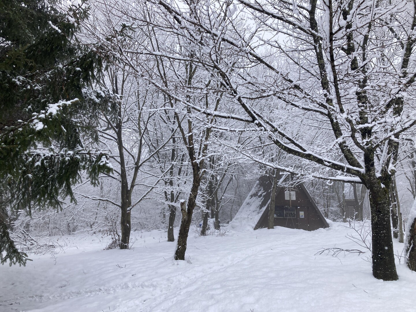 角田山（宮前コース） / hi-chanさんの角田山の活動データ | YAMAP / ヤマップ