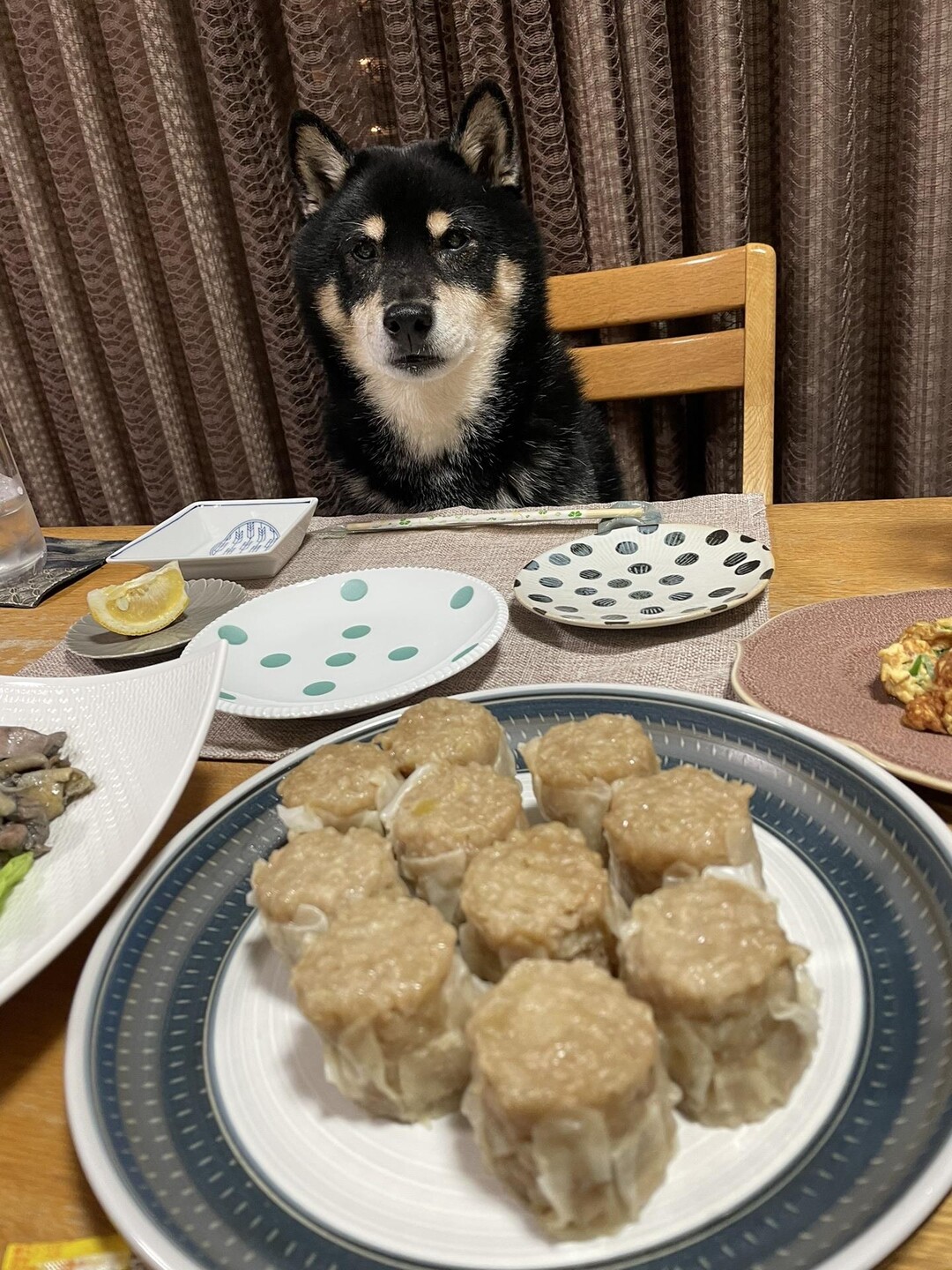 551食べたーい🐾 / えみクロさんのモーメント | YAMAP / ヤマップ