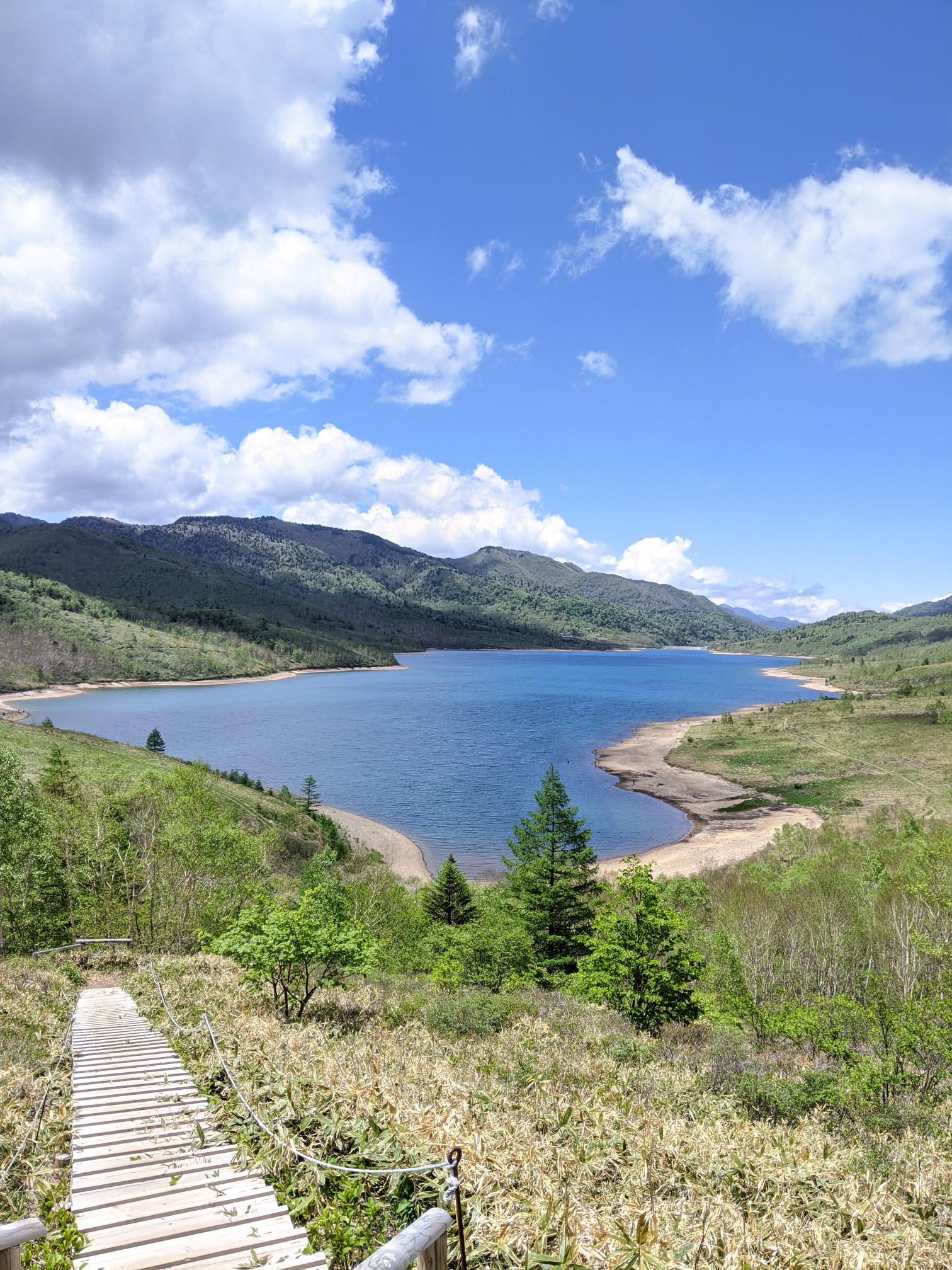 八間山 / maaさんの白砂山・堂岩山・八間山の活動日記 | YAMAP / ヤマップ
