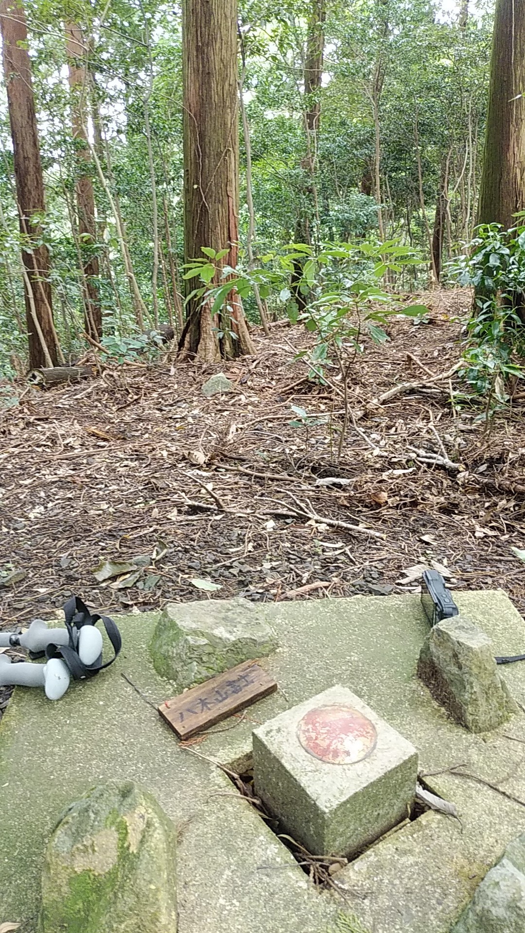 Toshio さんの投稿したフィールドメモ | YAMAP / ヤマップ