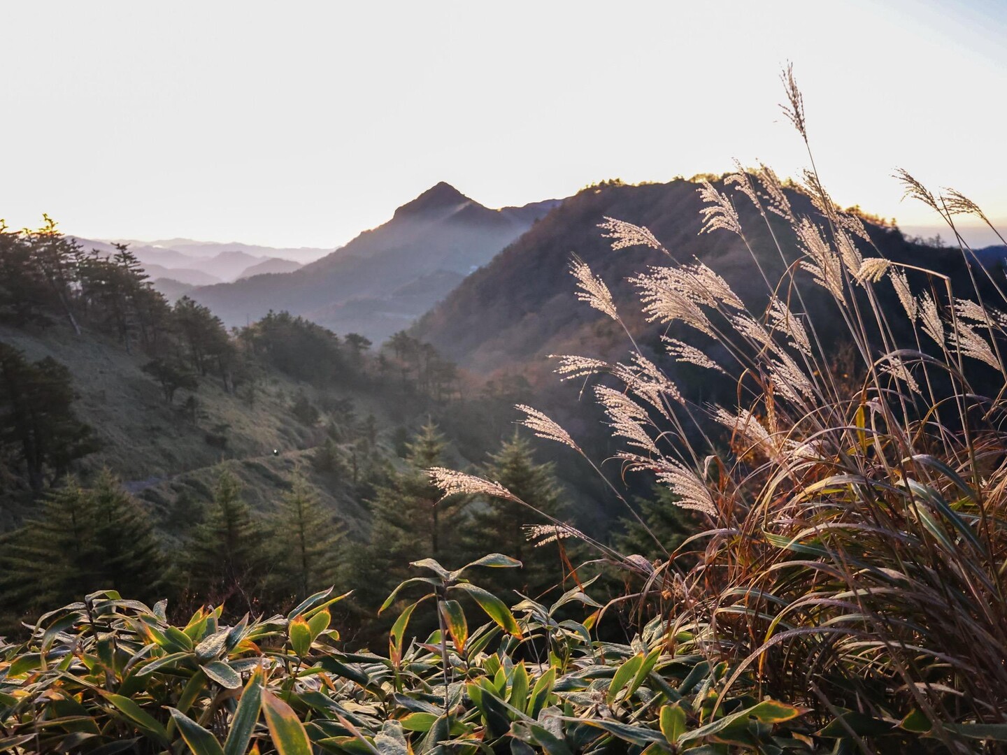 石鎚山・天狗岳 / Ryosukeさんの石鎚山・堂ヶ森・二ノ森の活動データ | YAMAP / ヤマップ