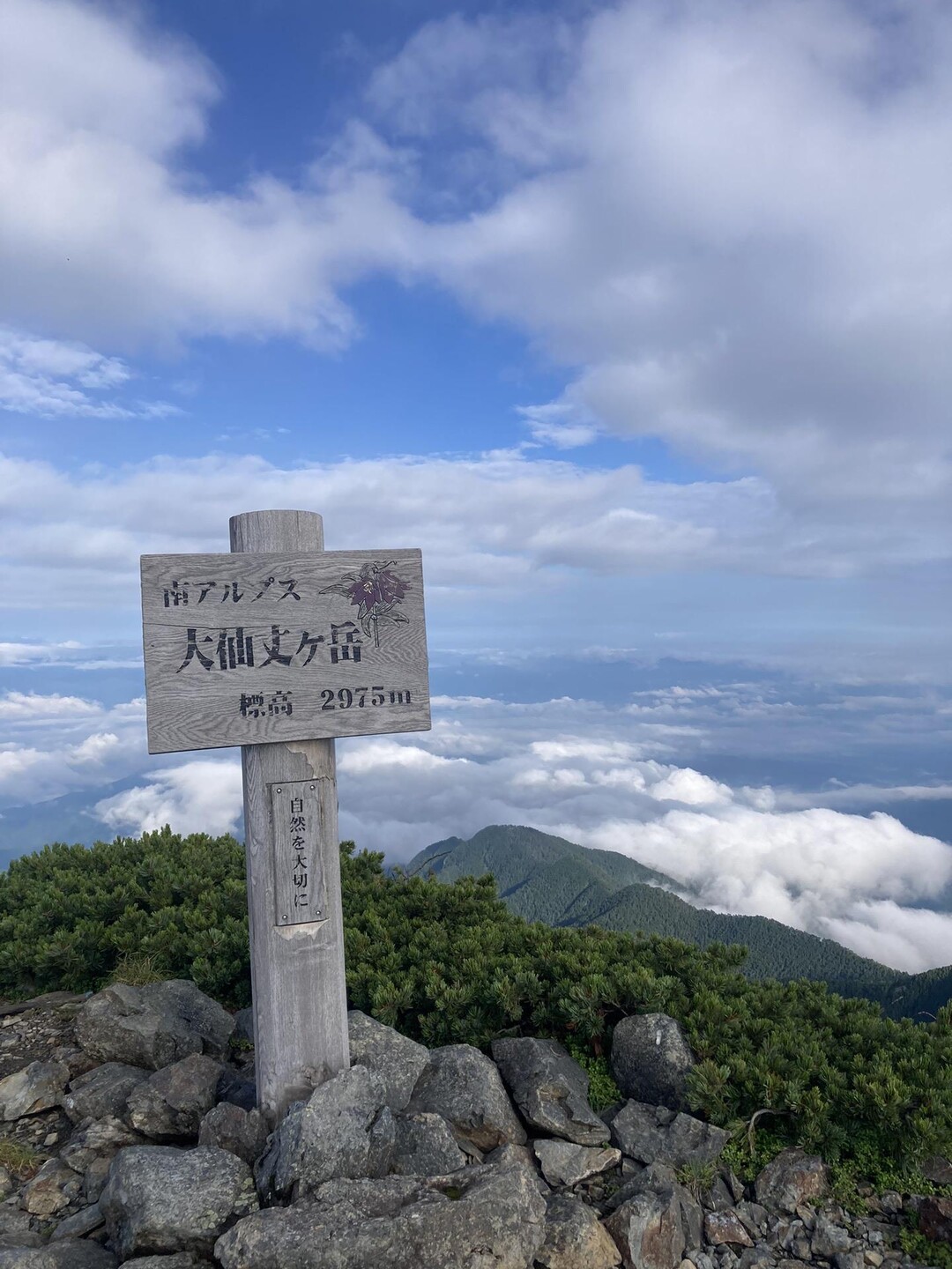 TJAR応援・仙丈ヶ岳 / ともちさんの仙丈ヶ岳・伊那荒倉岳の活動データ | YAMAP / ヤマップ