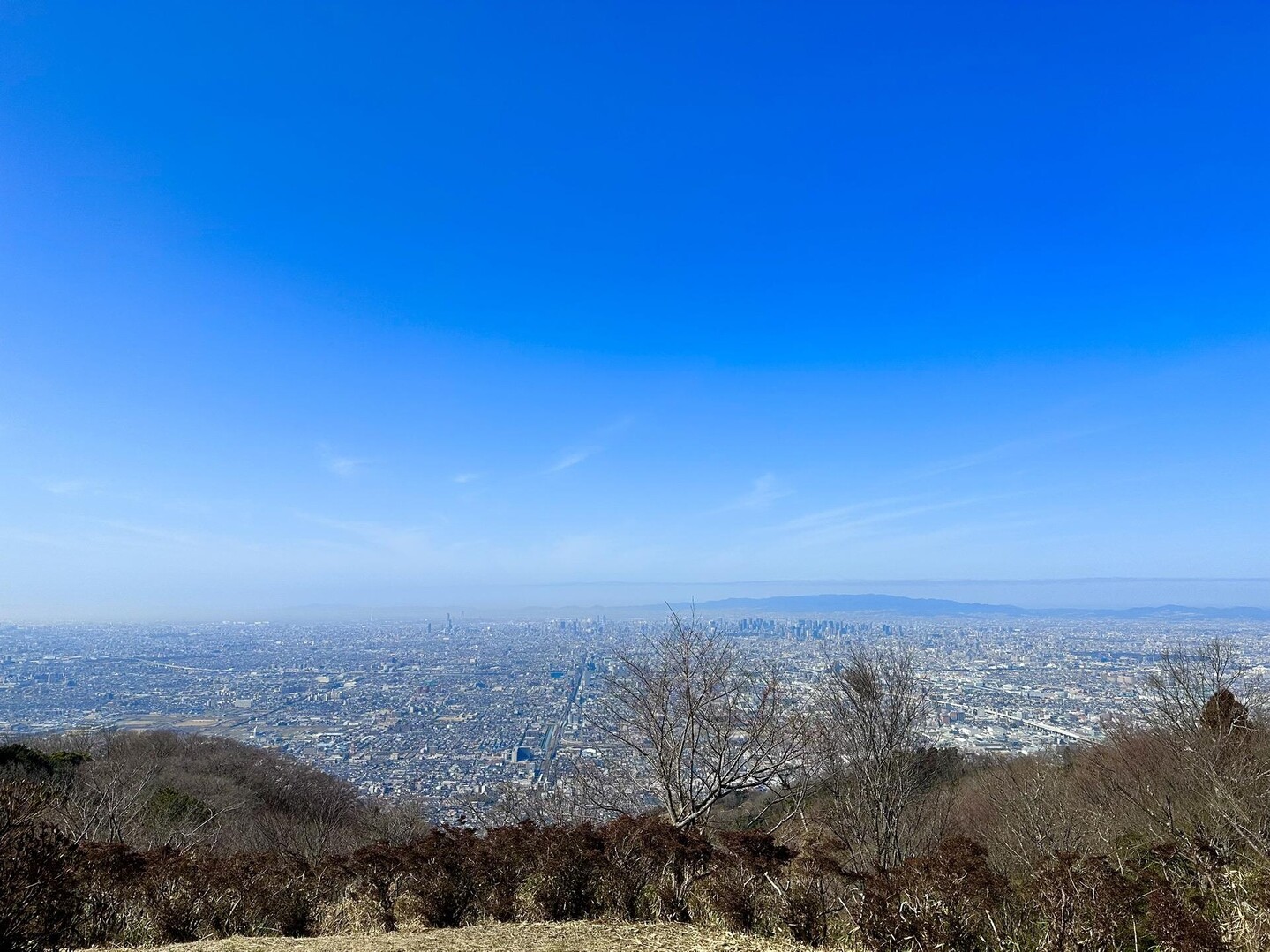 春の陽気☀️に誘われて😍⛰ 生駒山⛰鬼取山⛰天照山⛰大原山⛰ / nataiさんの生駒山・神津嶽・大原山の活動データ | YAMAP / ヤマップ