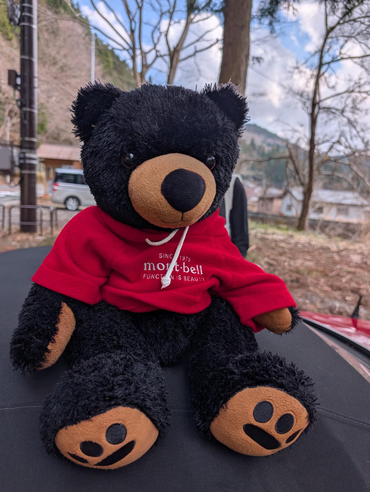 皆子山 / mioさんの皆子山の活動データ | YAMAP / ヤマップ