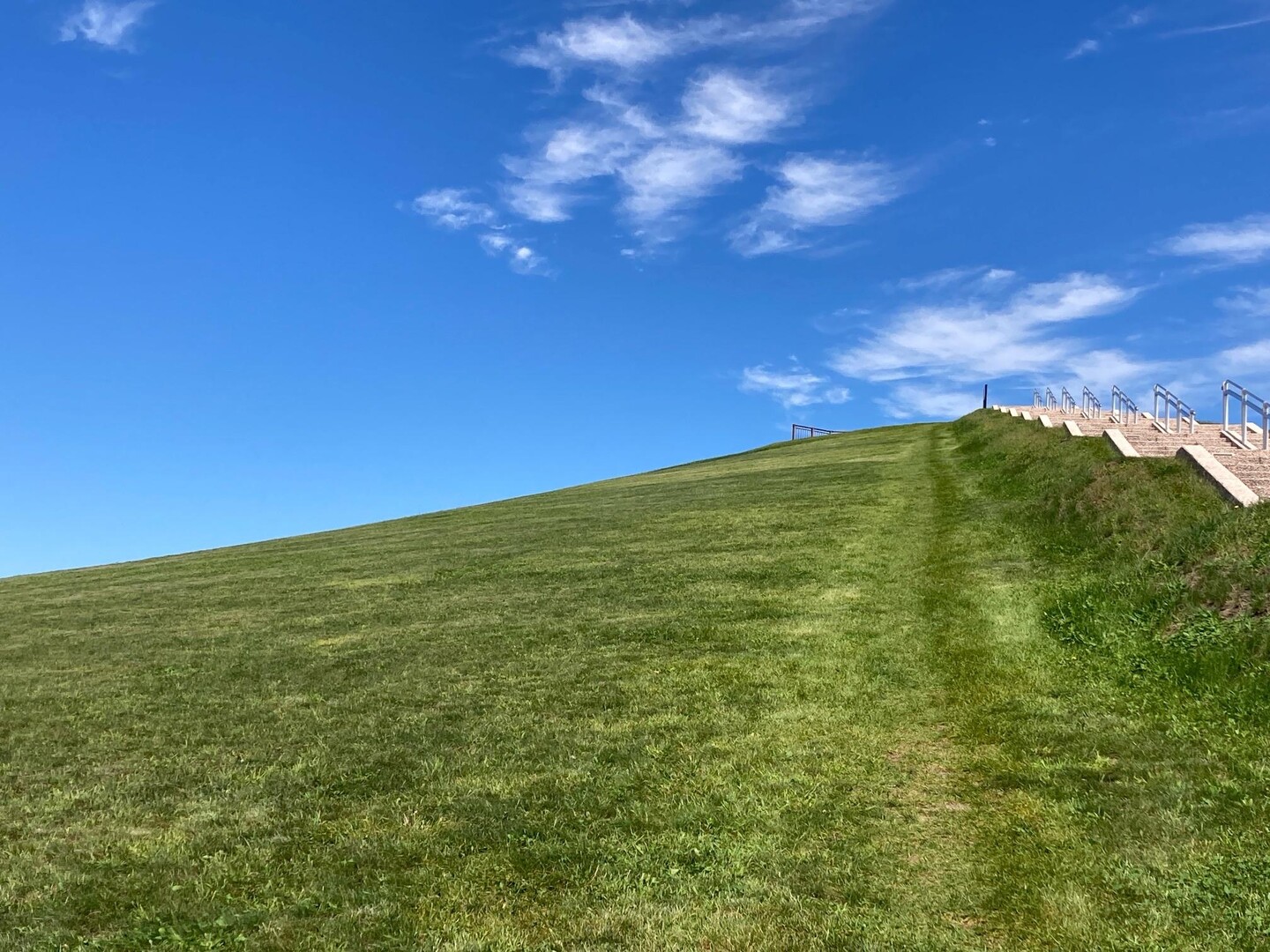 もりの山。。600⛰️ / 2525さんの帯広市の活動日記 | YAMAP / ヤマップ
