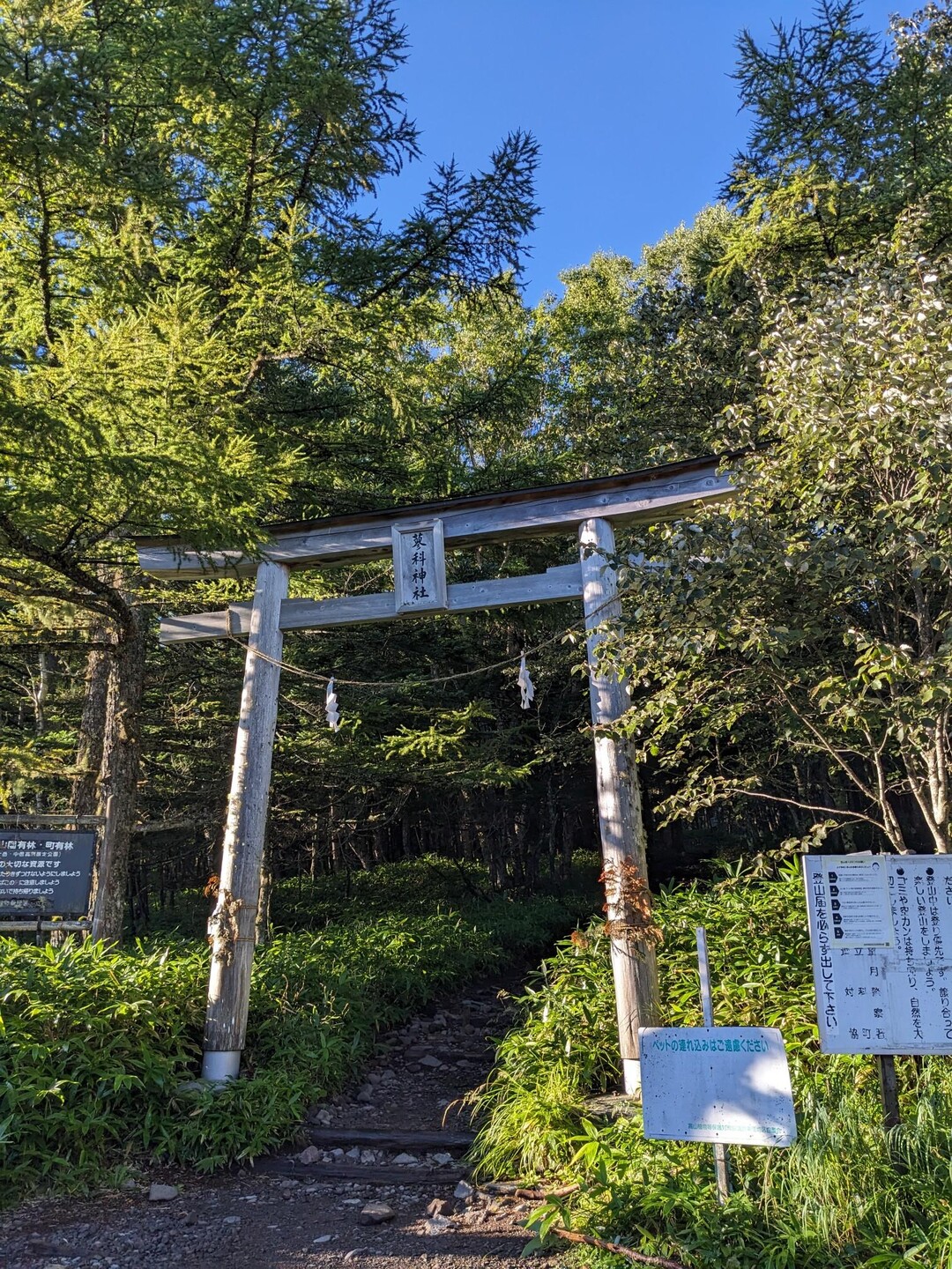 復活登山_蓼科山←7合目登山口より / Hisaさんの蓼科山・横岳・縞枯山の活動データ | YAMAP / ヤマップ