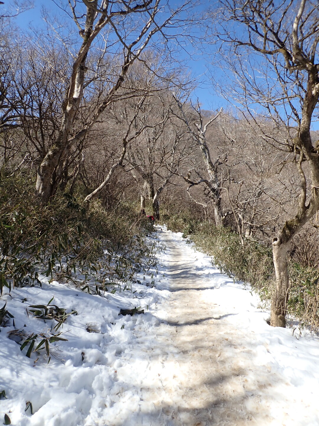 《茨城》筑波山 / nazさんの筑波山の活動データ | YAMAP / ヤマップ
