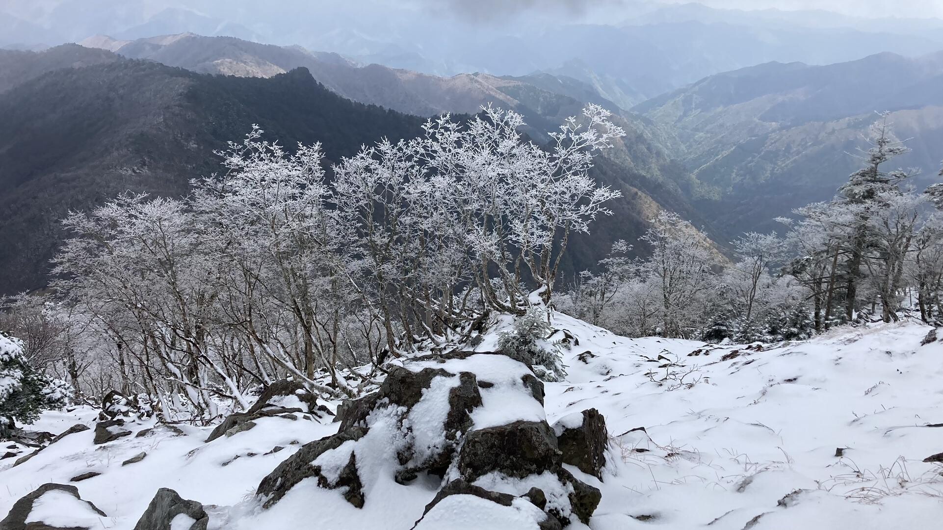 弁天ノ森・八経ヶ岳（八剣山・仏経ヶ岳）・弥山 / ミラニストさんの八経ヶ岳の活動データ | YAMAP / ヤマップ