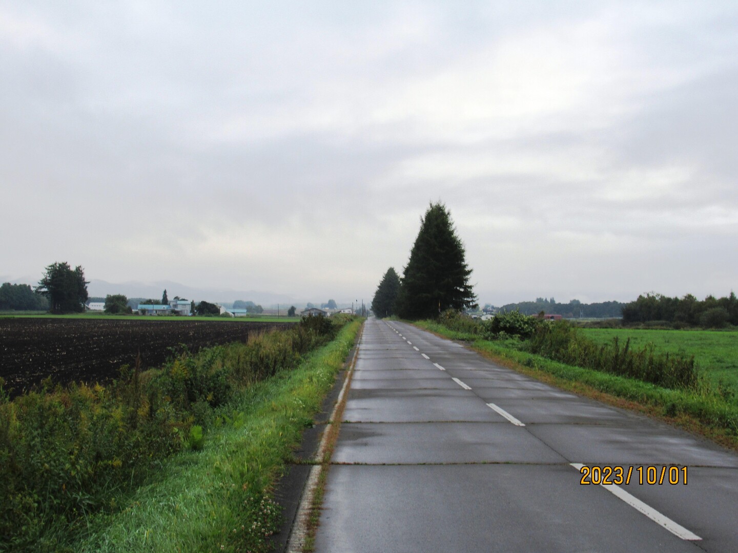 ランニング-2023-10-01 / miyaさんのランニングの活動データ | YAMAP / ヤマップ