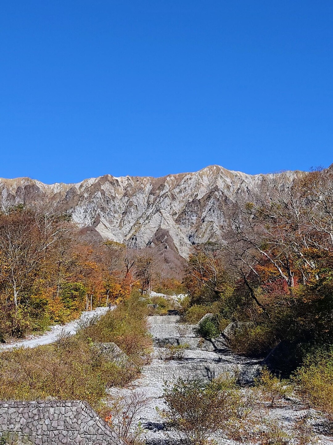 剣ヶ峰 / Sarahさんの大山・甲ヶ山・野田ヶ山の活動データ | YAMAP / ヤマップ