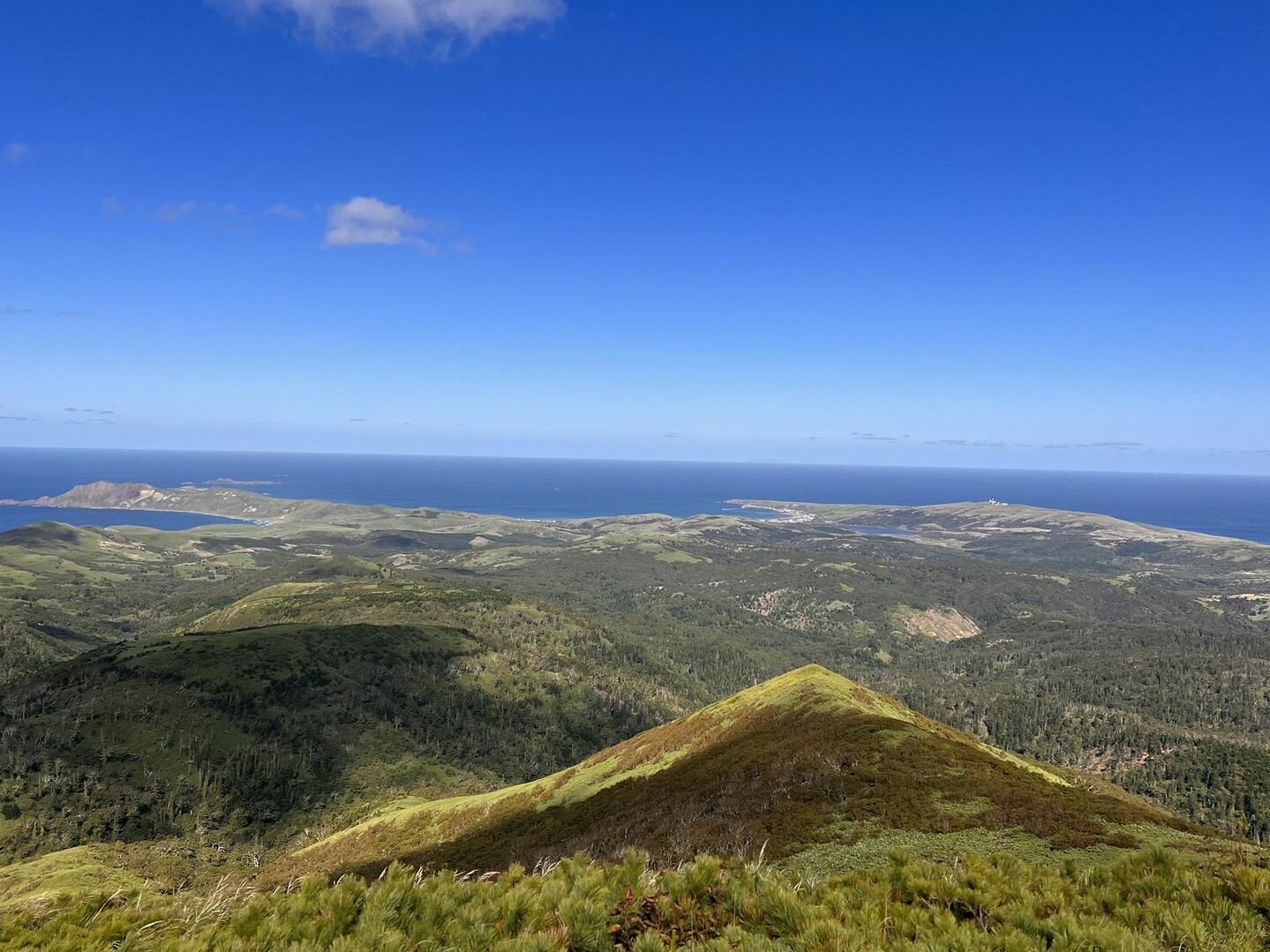 礼文岳 / yuzu_coさんの礼文島の活動データ | YAMAP / ヤマップ