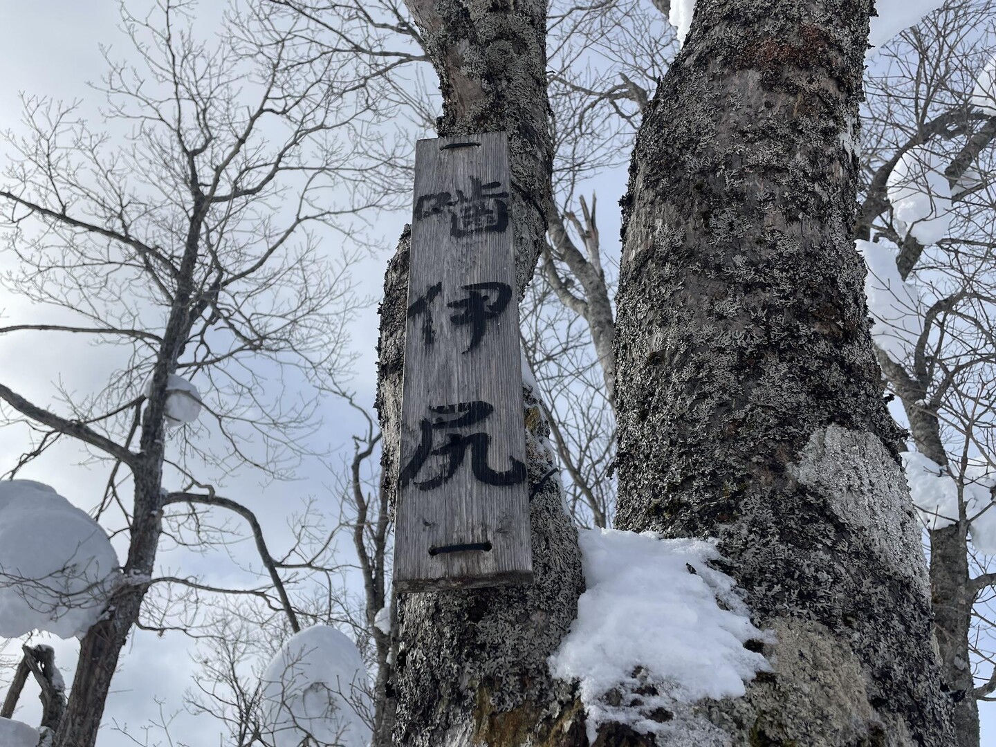 去年の続き…まずは、噛伊尻・千歳山 / me〜さんの増子山・塩狩山・千歳山の活動データ | YAMAP / ヤマップ