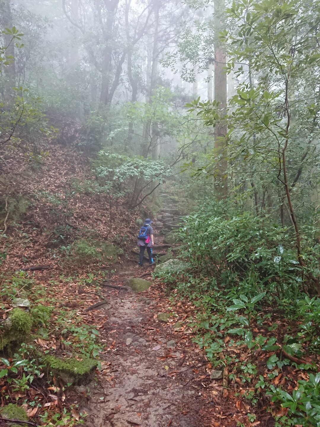 宝満山-2019-09-21(2回目) / kaz23さんの宝満山・三郡山・若杉山の活動データ | YAMAP / ヤマップ
