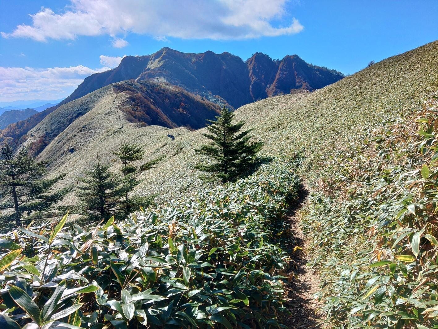 伊予富士 / akko-chan さんの笹ヶ峰・寒風山・平家平の活動データ | YAMAP / ヤマップ