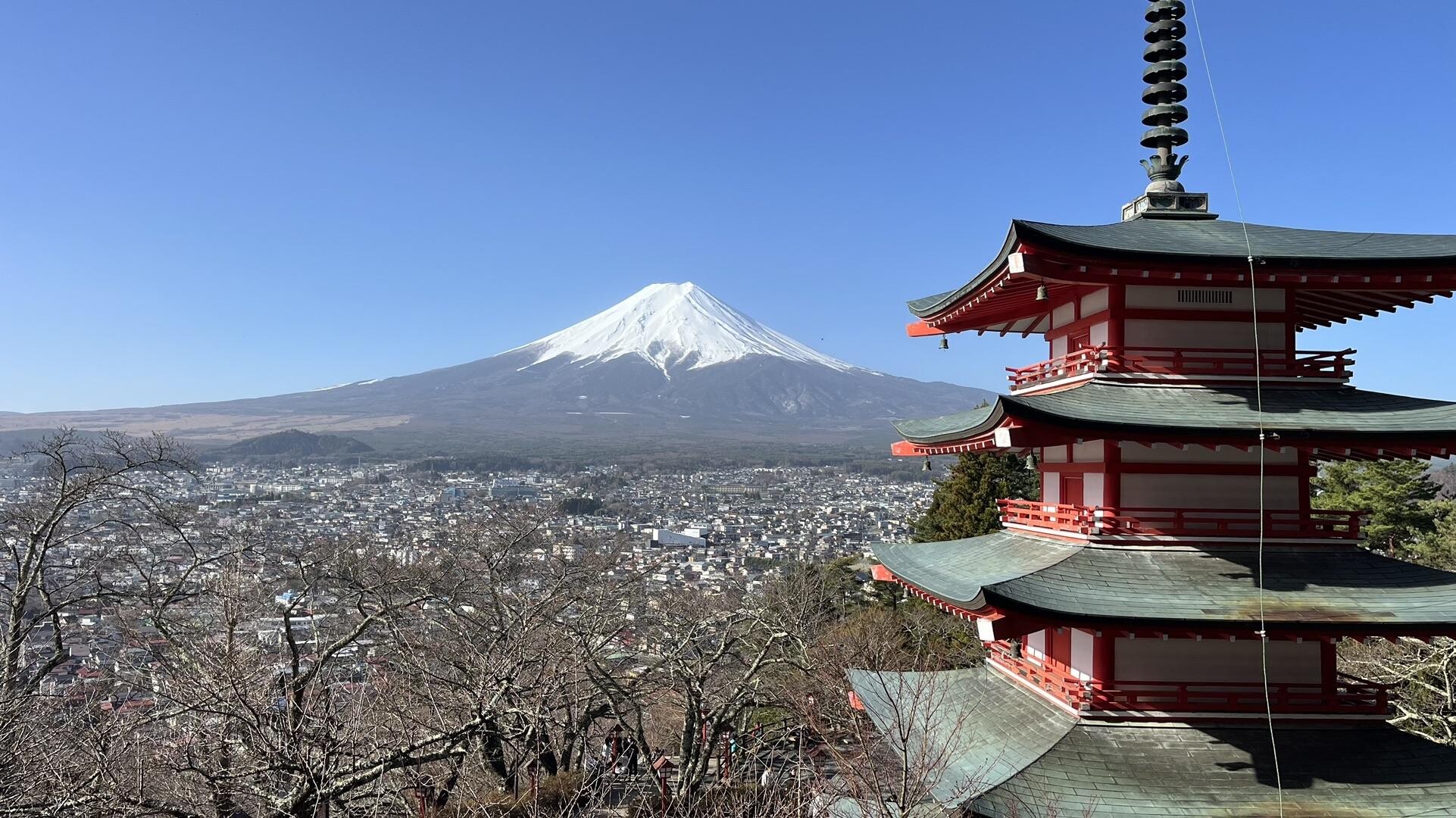 新倉山・御殿・霜山 / hpapa-nさんの三ッ峠山・本社ヶ丸・鶴ヶ鳥屋山の活動データ | YAMAP / ヤマップ