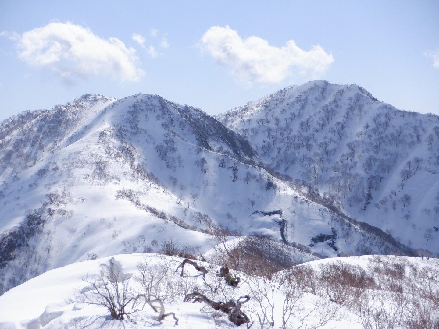 冷水岳・奥冷水岳・熊石岳（PH） / sapさんの遊楽部岳の活動データ | YAMAP / ヤマップ