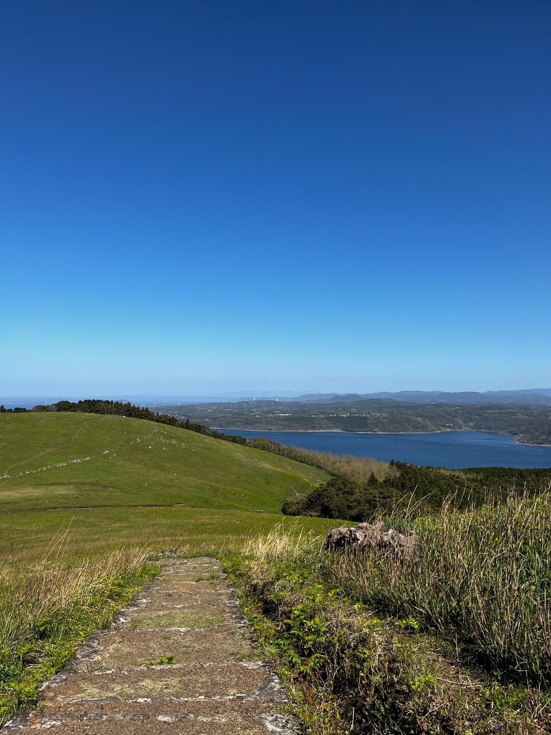 春の川内峠(Gr) / がんばるんばいむらかみさんの平戸市（北部）・生月島の活動データ | YAMAP / ヤマップ