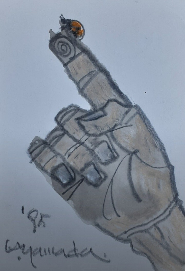 テントウムシ。 https://yout... / コックンさんのモーメント | YAMAP / ヤマップ