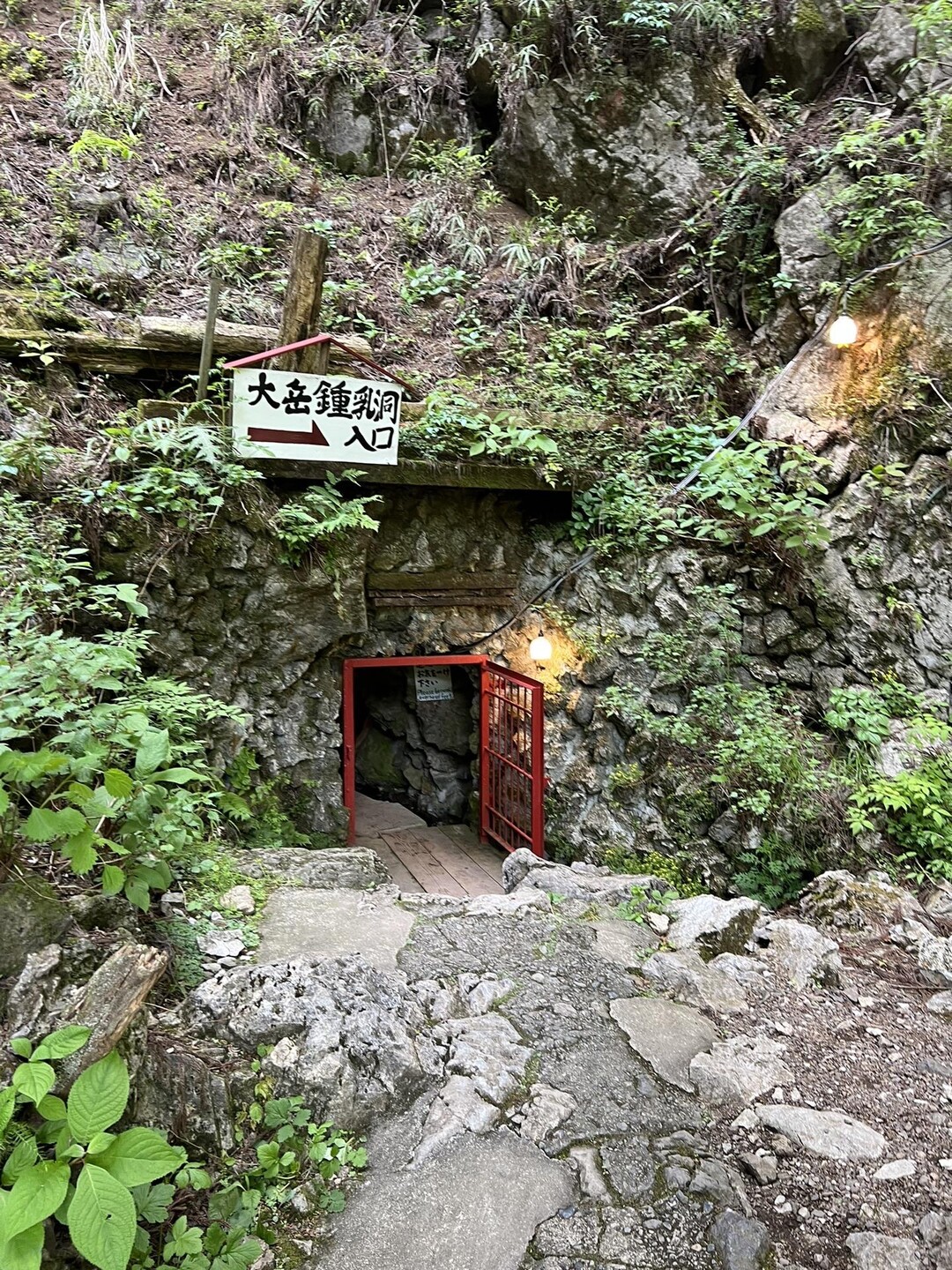 御岳山・大岳山から大岳鍾乳洞へ⛑️ / tea003さんの大岳山・御岳山・御前山の活動データ | YAMAP / ヤマップ