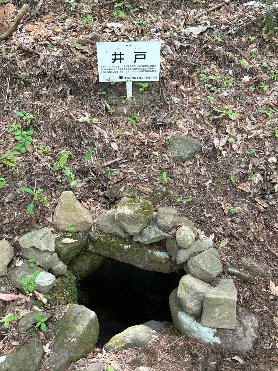 Guestさんの投稿したフィールドメモ | YAMAP / ヤマップ