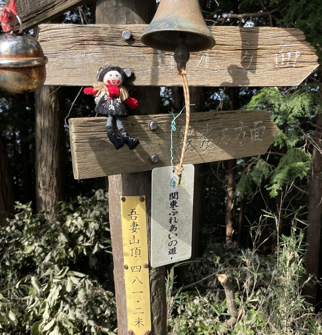 初めての吾妻山へソロで行ってみた🫢 / CHIEsさんの鳴神山・吾妻山の活動日記 | YAMAP / ヤマップ
