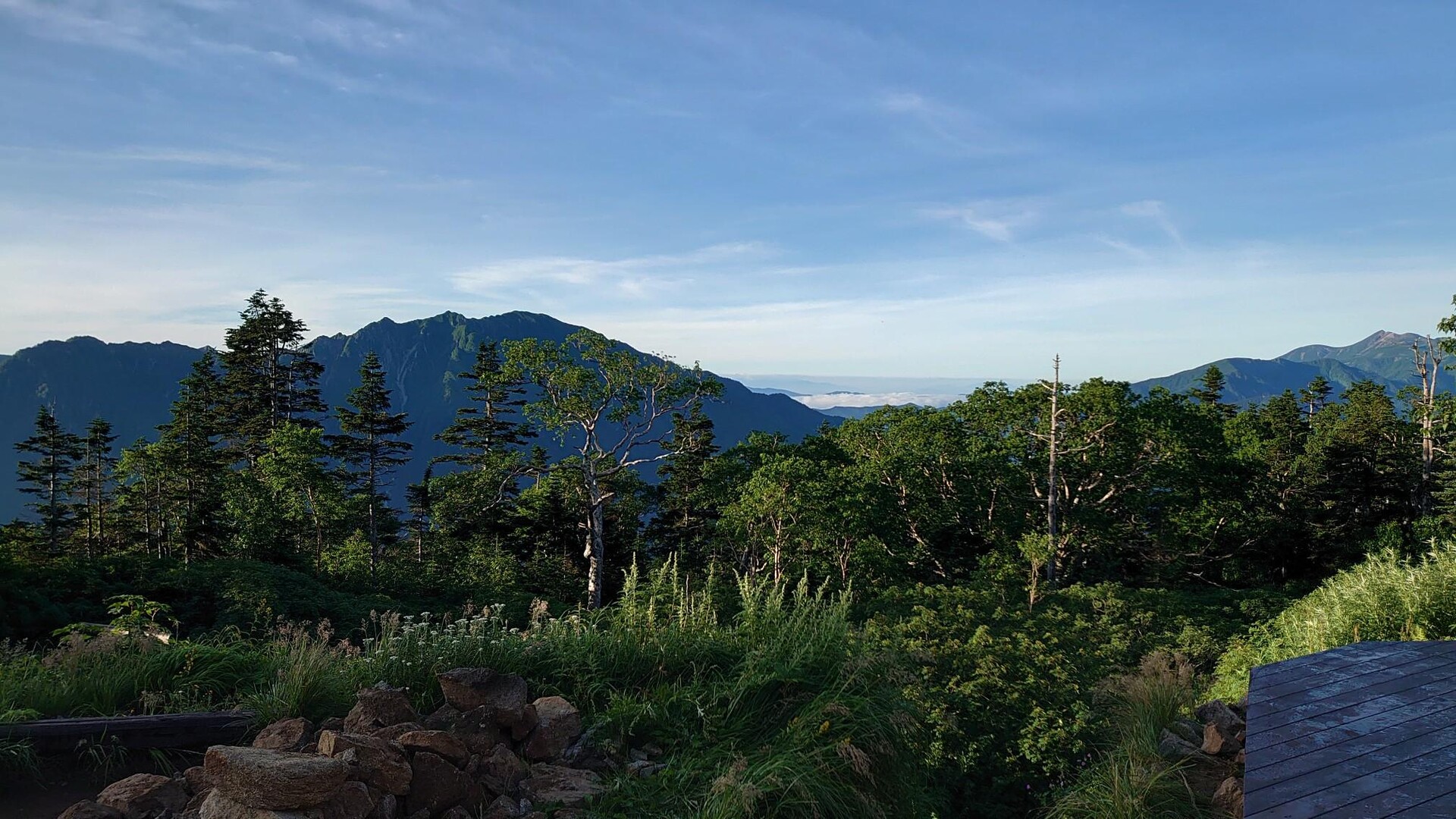 奥穂高岳～西穂高岳縦走 day4 下るだけ 2024-08-01 / にゃきこさんの槍ヶ岳・穂高岳・上高地の活動データ | YAMAP / ヤマップ