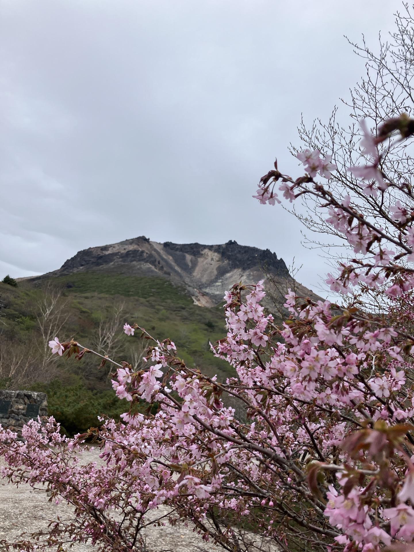 沼原から小さく周回-2025-05-24 / applemintさんの茶臼岳（那須岳）・三本槍岳・赤面山の活動データ | YAMAP / ヤマップ