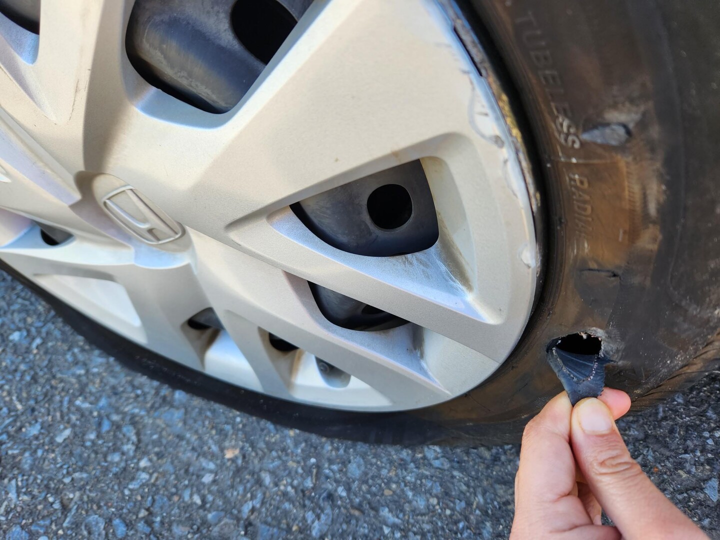 矢岳 / ayumiさんの霧島山・韓国岳・高千穂峰・夷守岳・烏帽子岳の活動データ | YAMAP / ヤマップ