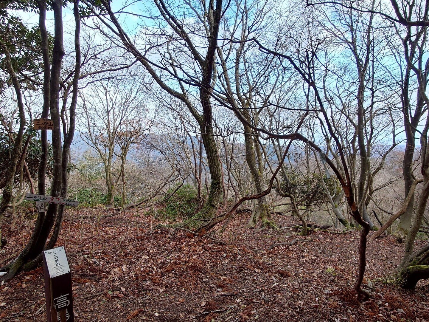 二の谷山 / motoさんの高島トレイル その2の活動データ | YAMAP / ヤマップ