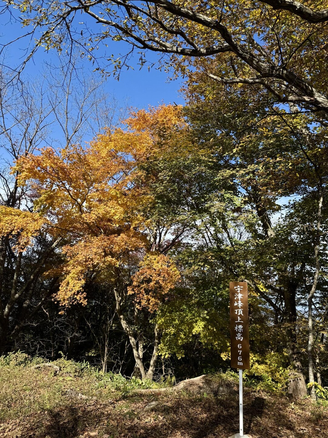 西音森山・宇津峰 / maru.さんの宇津峰山（宇津峰）の活動データ | YAMAP / ヤマップ