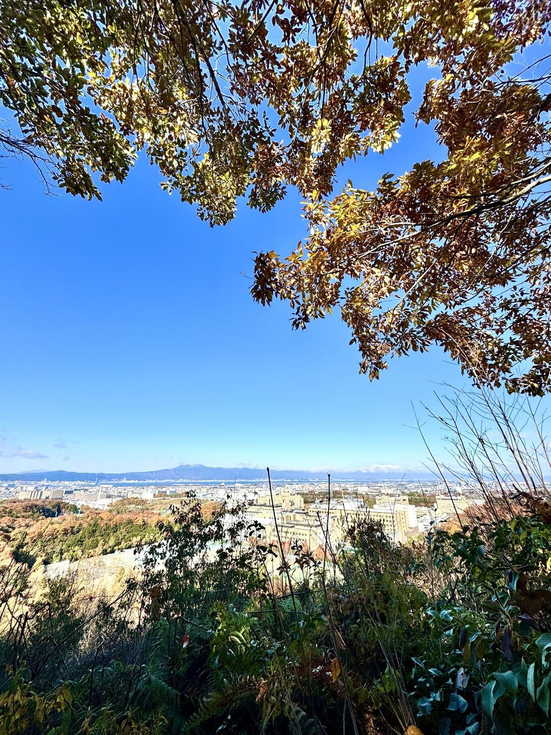 牟礼山 / zunさんの金勝アルプス（鶏冠山・竜王山）の活動データ | YAMAP / ヤマップ