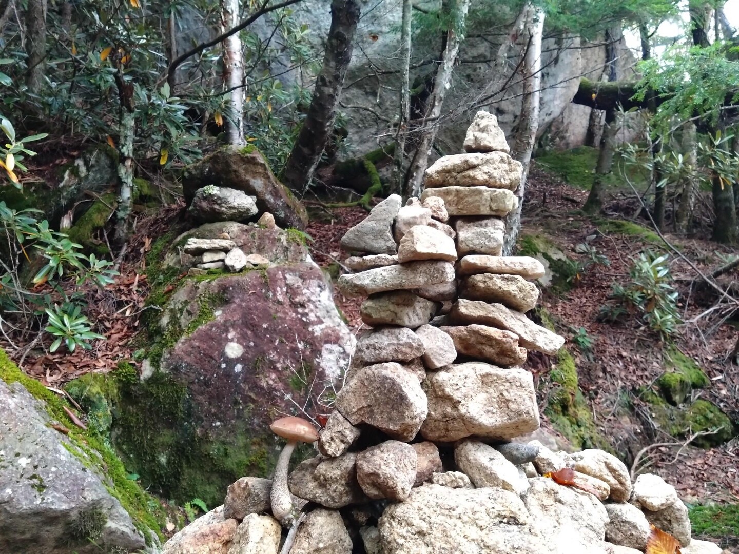 瑞牆山🏞️ / ke_kunさんの瑞牆山・金峰山の活動データ | YAMAP / ヤマップ