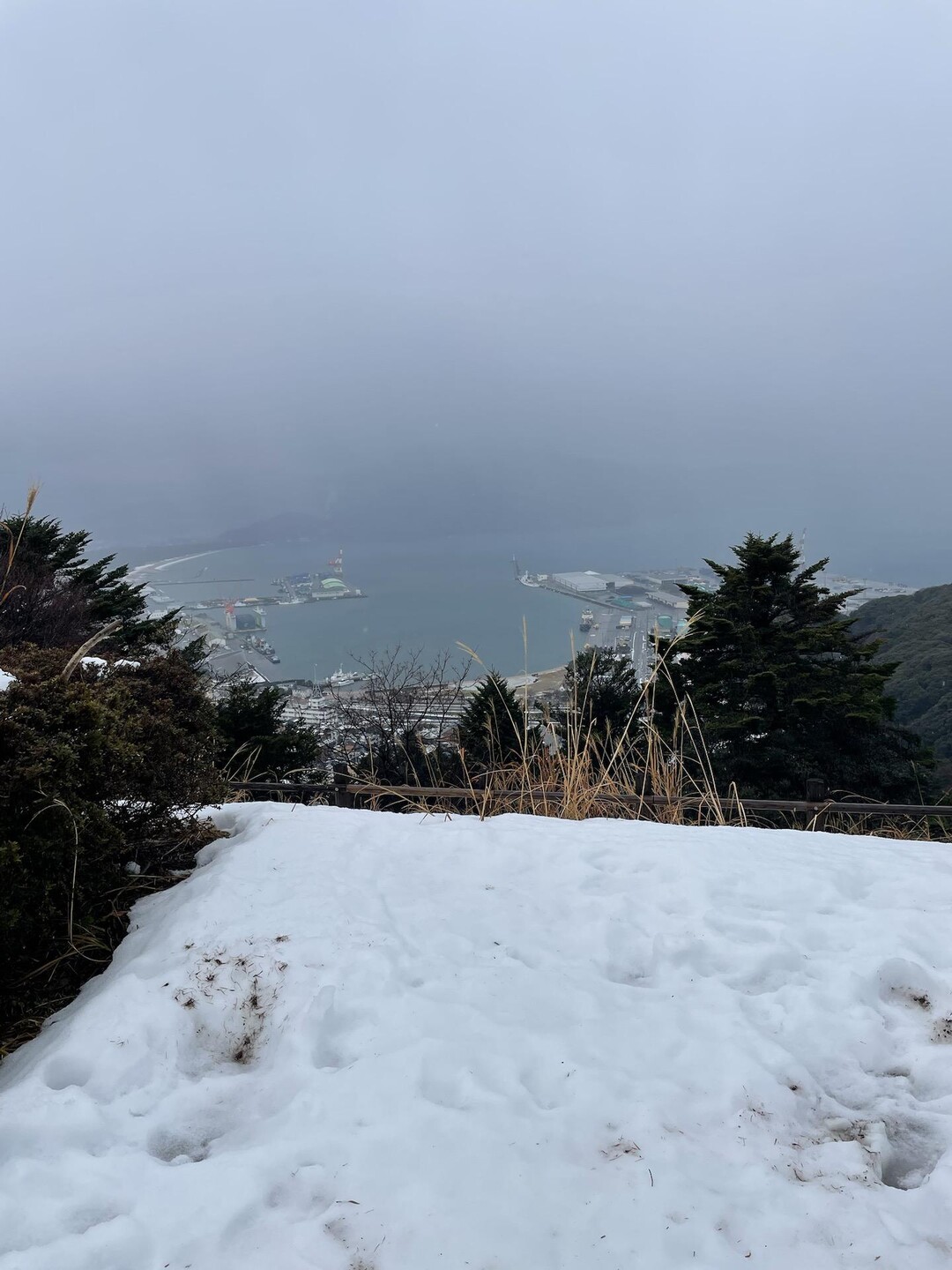 工事👷始まりました〜 天筒山 / miniさんの天筒山・中池見湿地の活動データ | YAMAP / ヤマップ