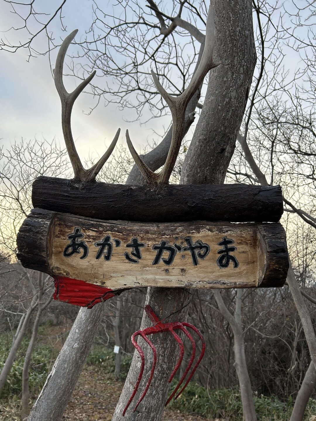 赤坂山（寺口山）-1 / yuki_iroさんの三角山・大倉山・円山の活動データ | YAMAP / ヤマップ