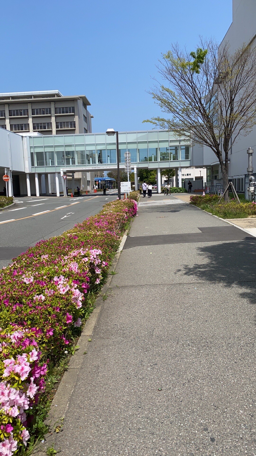 今日は暑い日ですね〜 福大検診の日です。... / tonyさんのモーメント | YAMAP / ヤマップ