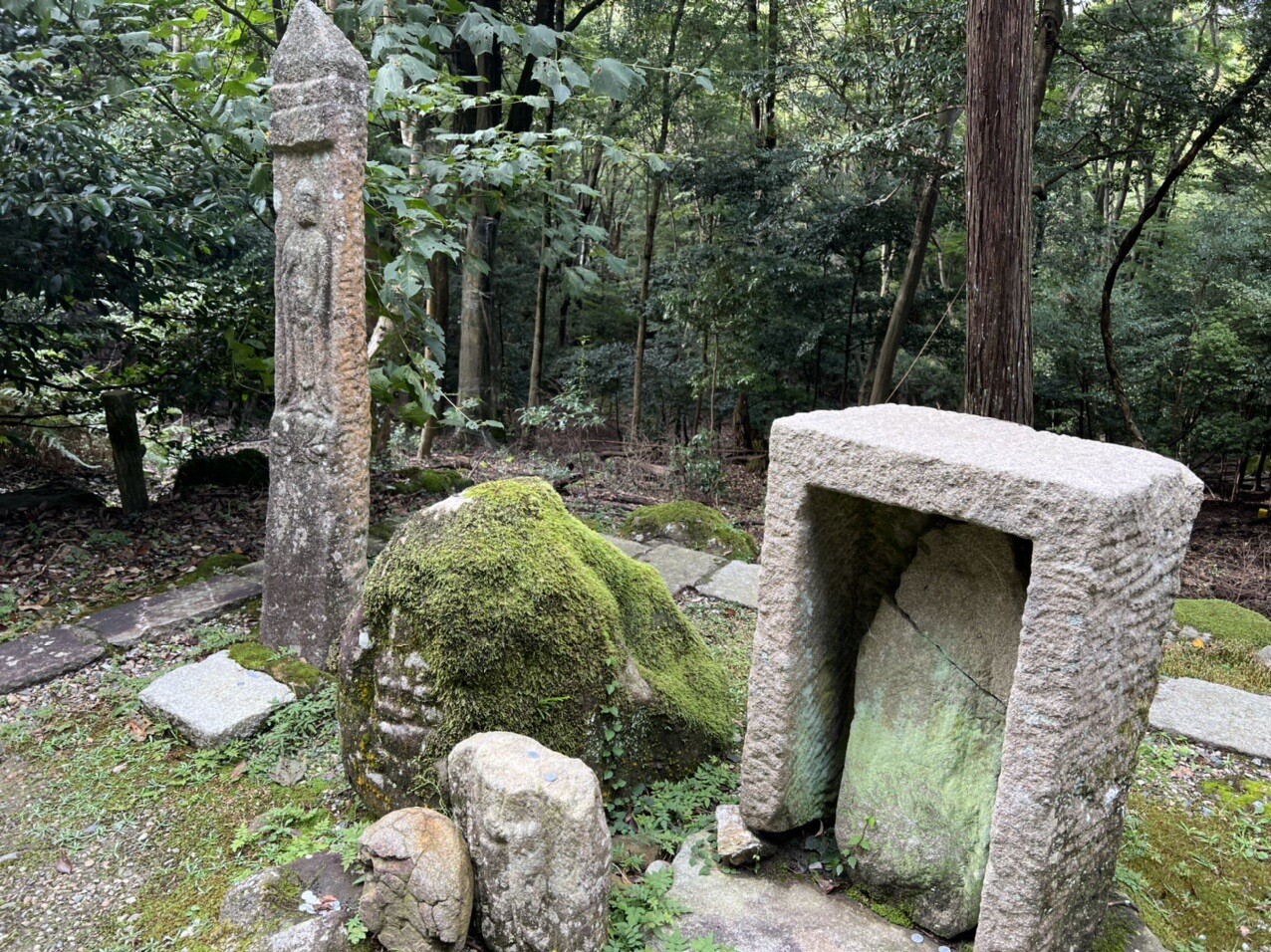 【若草山】春日山原始林の散策 若草山の写真42枚目 【花山 地蔵の背】 Yamap ヤマップ