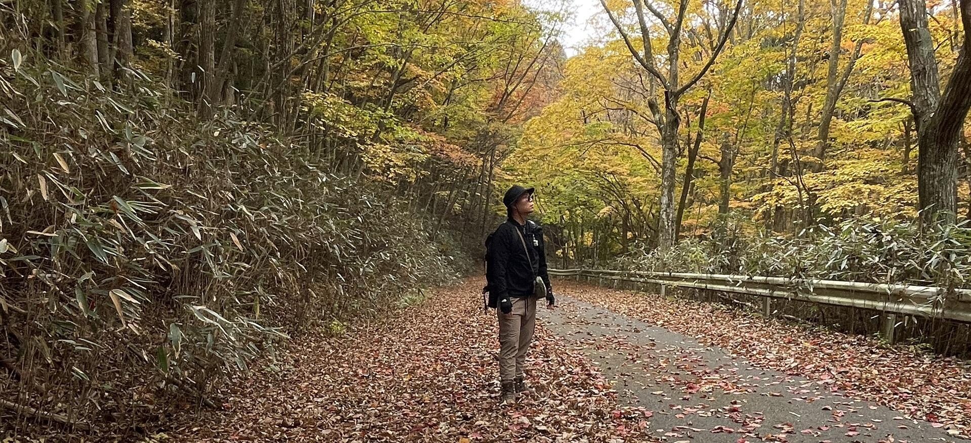 【山歩さんぽ】花園山・栄蔵室🍁 / eeeeeeiichi さんの栄蔵室・花園山の活動データ | YAMAP / ヤマップ