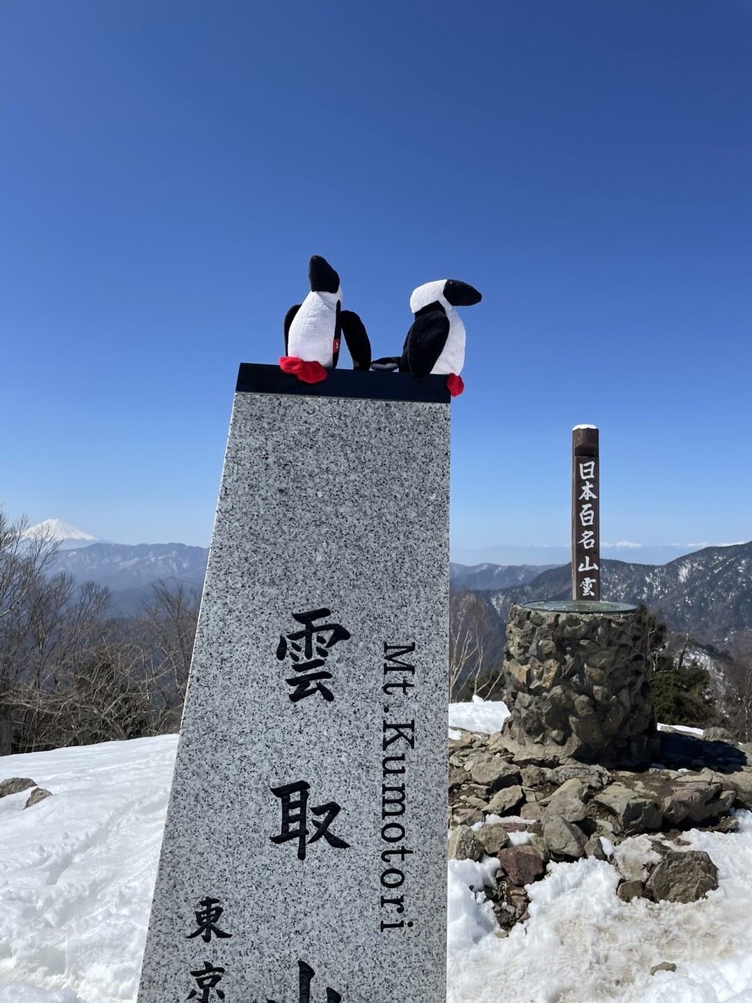 雲取山 / synさんの雲取山・鷹ノ巣山・七ツ石山の活動データ | YAMAP / ヤマップ