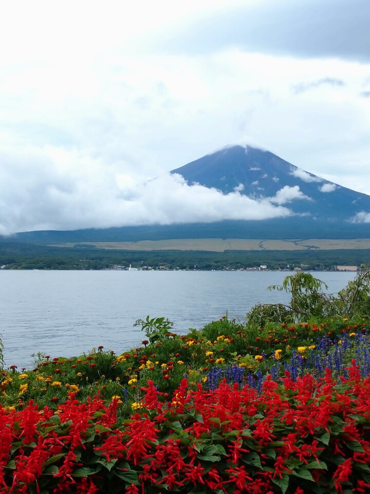長池親水公園前バス停-大平山ハイキングコース入口-大平山- 周回コースの地図・登山ルート・登山口情報 | YAMAP / ヤマップ