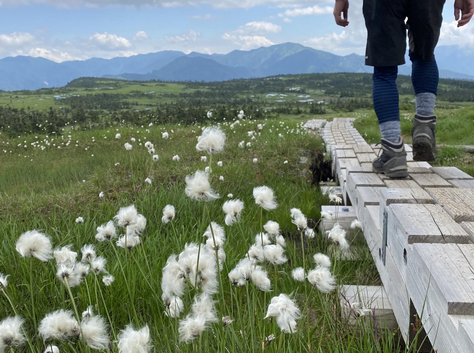 天空の楽園 苗場山 / mayuminさんの苗場山・赤倉山・佐武流山の活動データ | YAMAP / ヤマップ