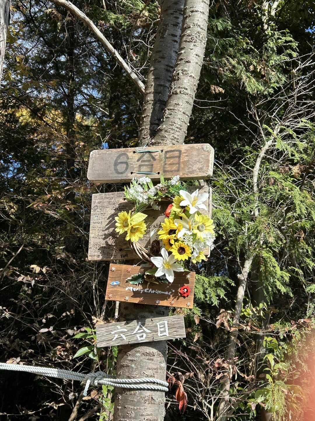 多度山 / Amiさんの多度山・美濃松山・石津御嶽の活動データ | YAMAP / ヤマップ