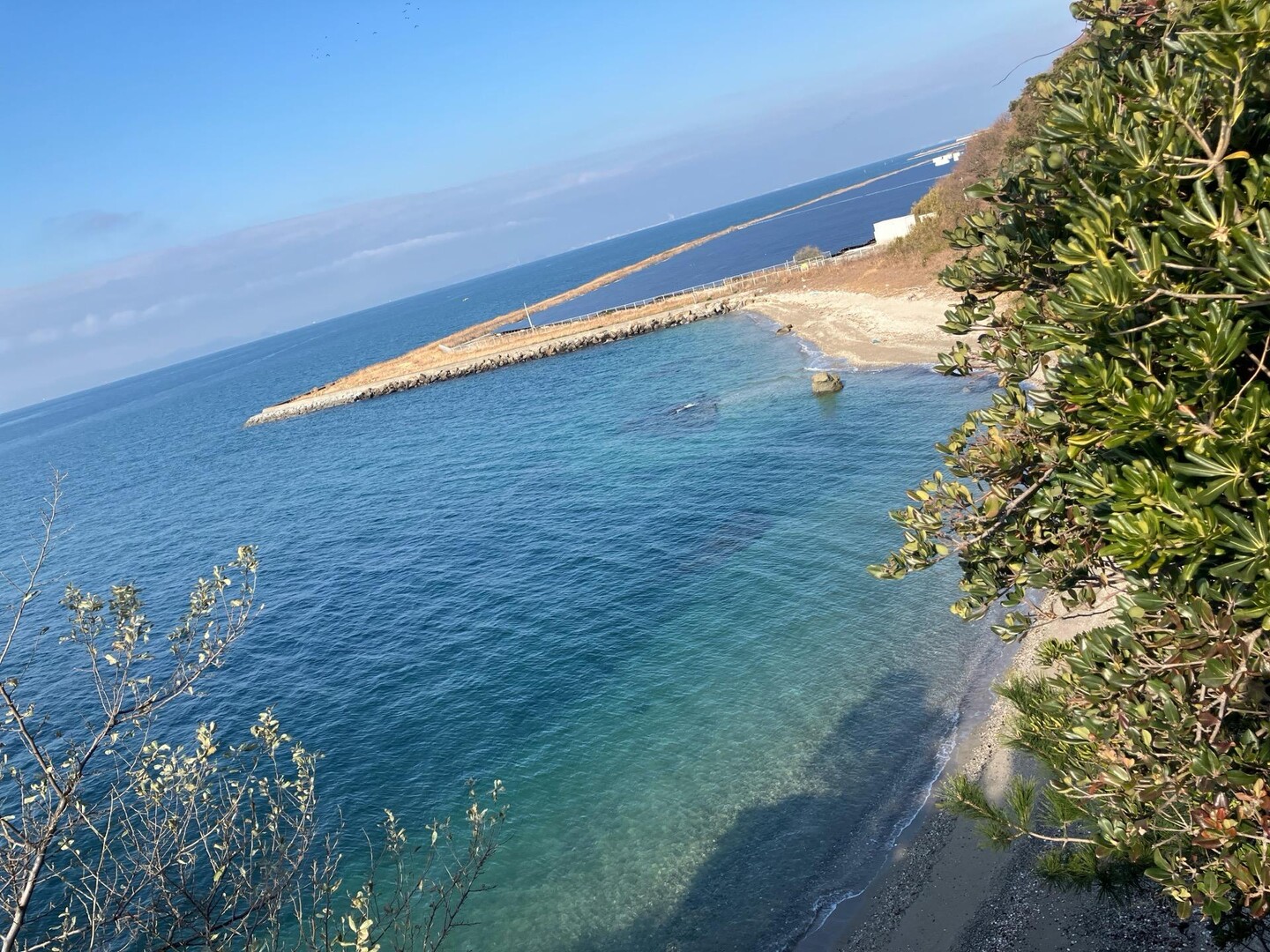 セコっぷ③ニャ🐱🐱🐱 / toshiさんの竜王山の活動データ | YAMAP / ヤマップ