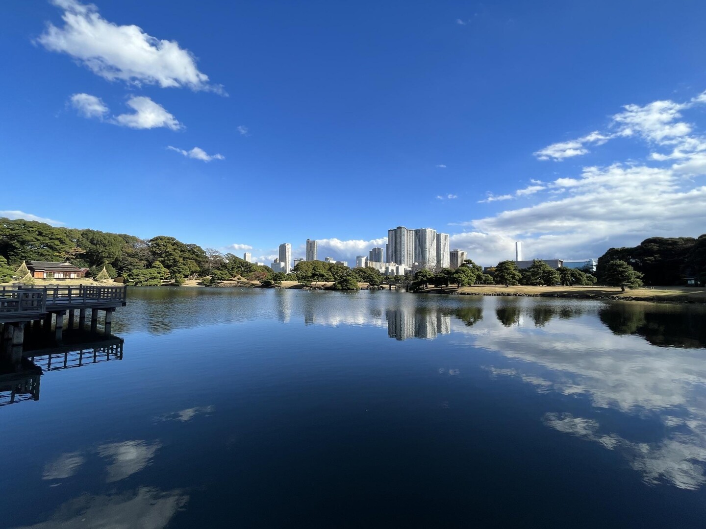 浜御殿で登り納め / R352さんの東海道五十三次（日本橋・品川宿・川崎宿）の活動データ | YAMAP / ヤマップ