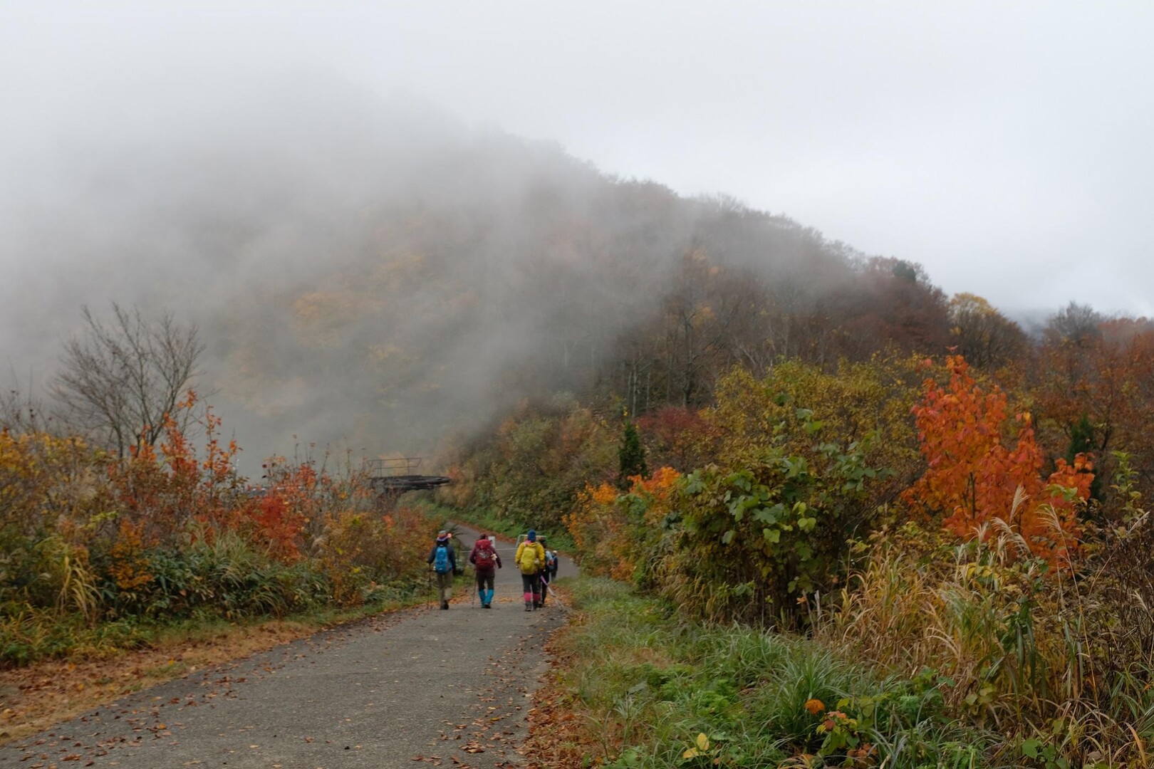 ’22・11・5 ♪ みんなで楽しく、1... / SMさんのモーメント | YAMAP / ヤマップ