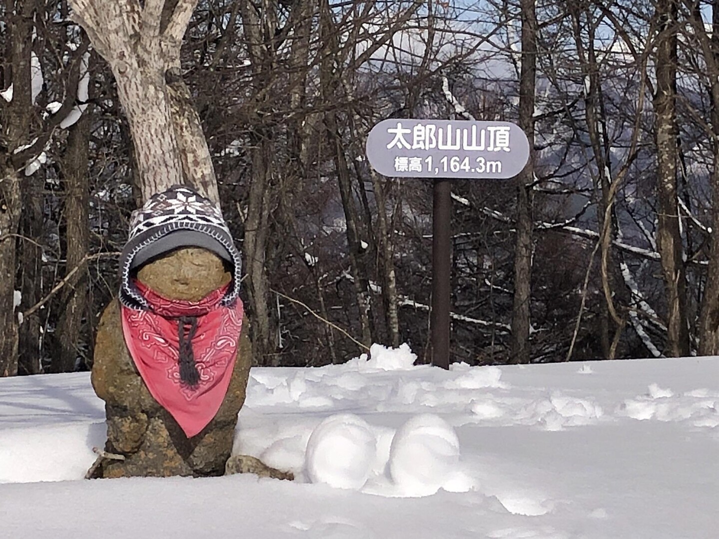 大雪の後の太郎山(11回目)チェーンスパイクデビュー / SamuSamuさんの太郎山の活動データ | YAMAP / ヤマップ