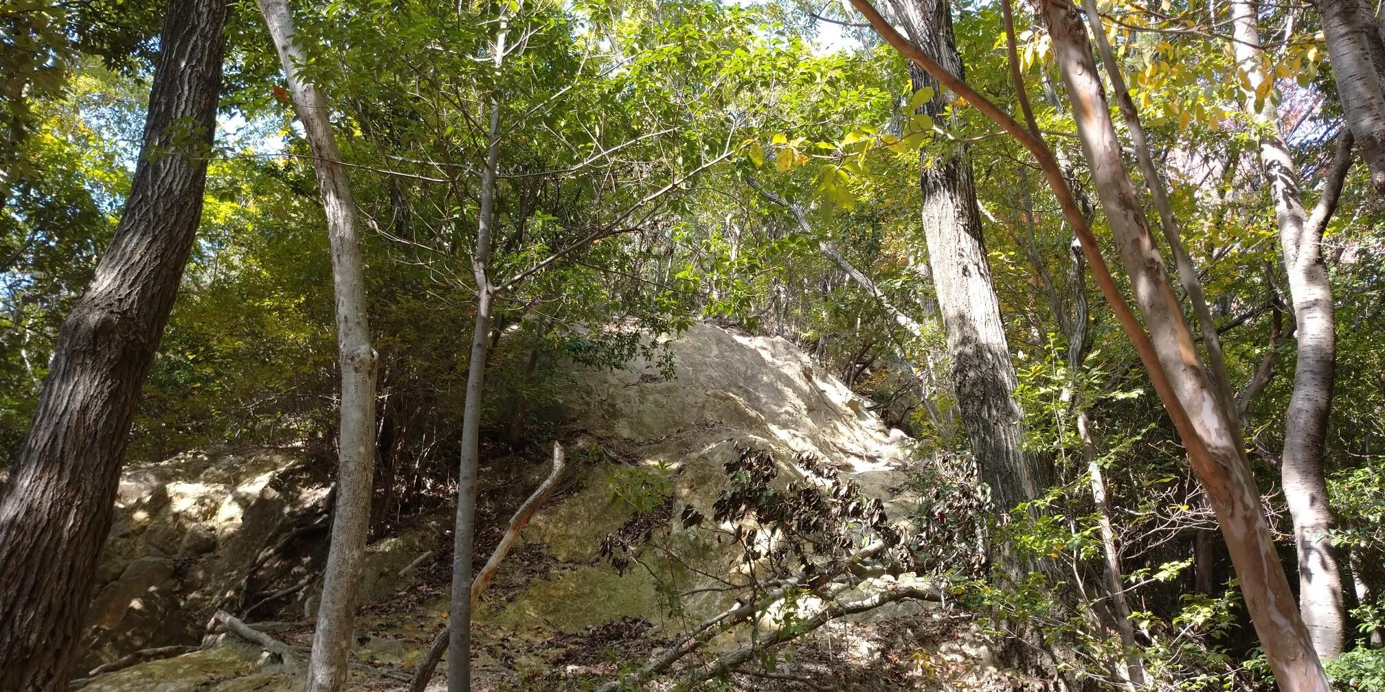 BGN48-2020さんの投稿したフィールドメモ | YAMAP / ヤマップ