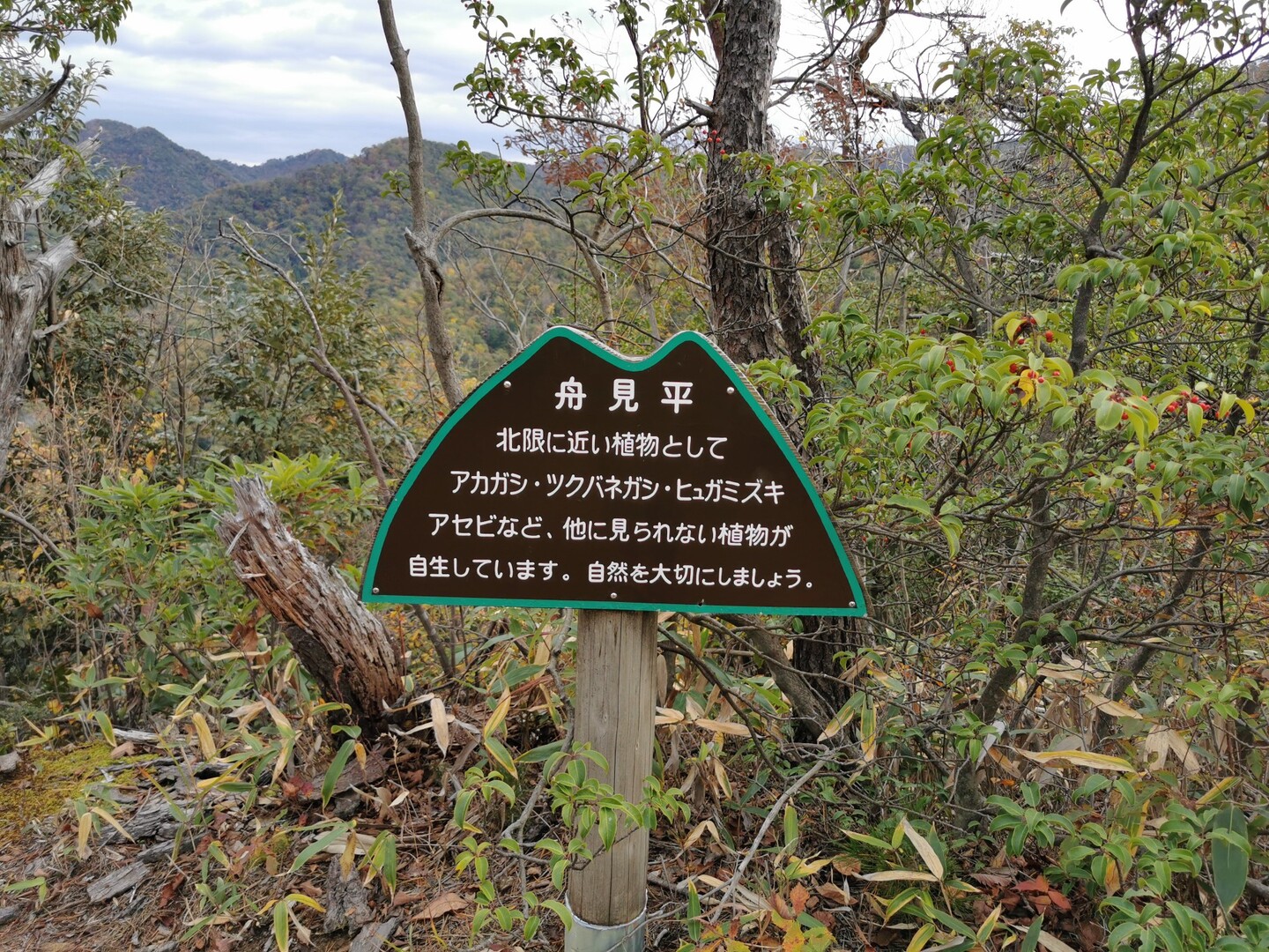 あやしょうさんの投稿したフィールドメモ | YAMAP / ヤマップ